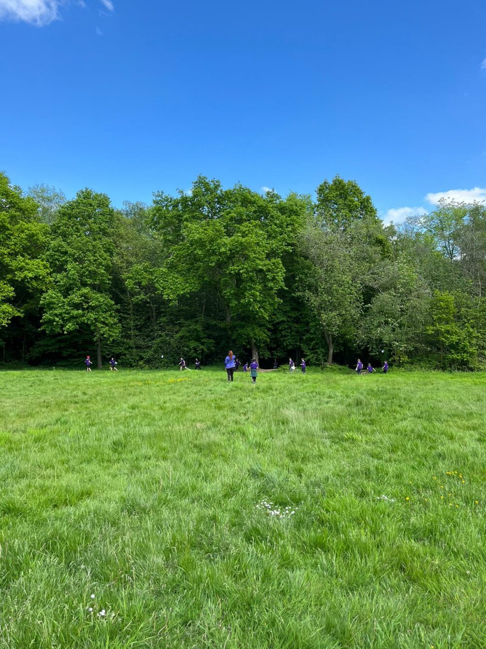 Wide game fun | 1st Tiddington Scout Group
